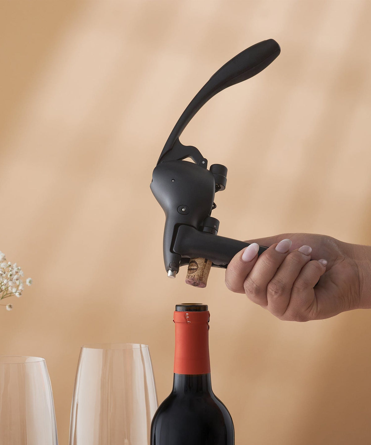 Rabbit Wine & Barware | Rabbit | RBT | Houdini